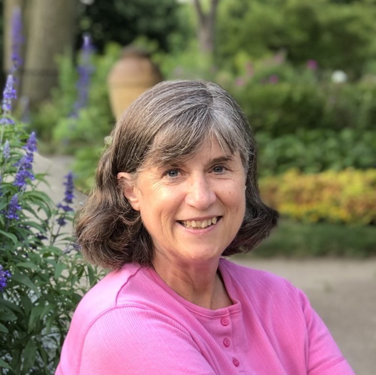 Novel PASTimes – "If history were told in the form of stories, it would ...